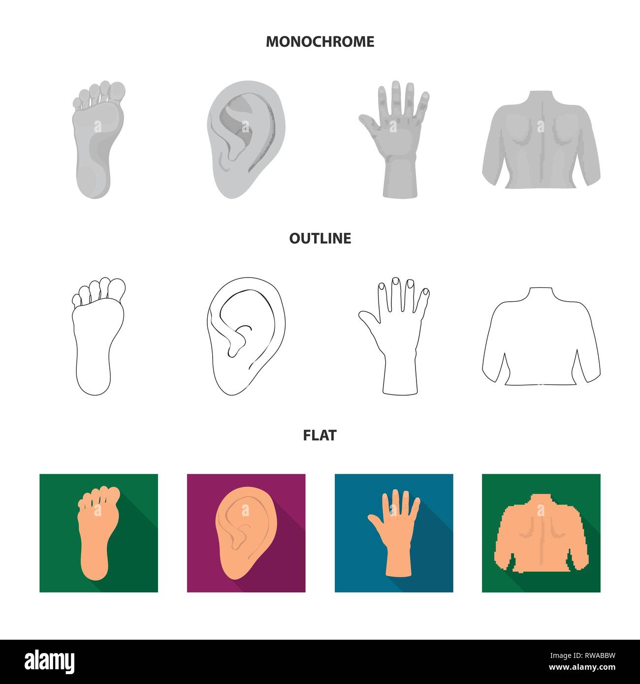 Vector design of body and part sign. Set of body and anatomy stock ...