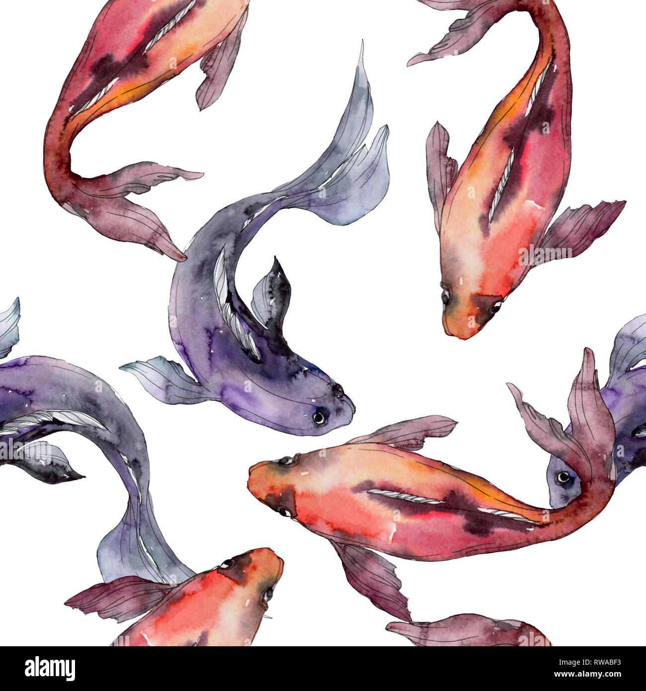 Aquatic fish set. Red sea and exotic fishes inside: Goldfish ...
