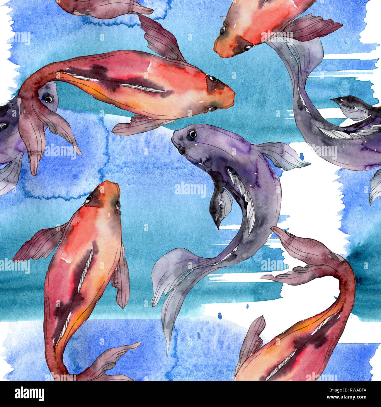 Aquatic fish set. Red sea and exotic fishes inside: Goldfish ...