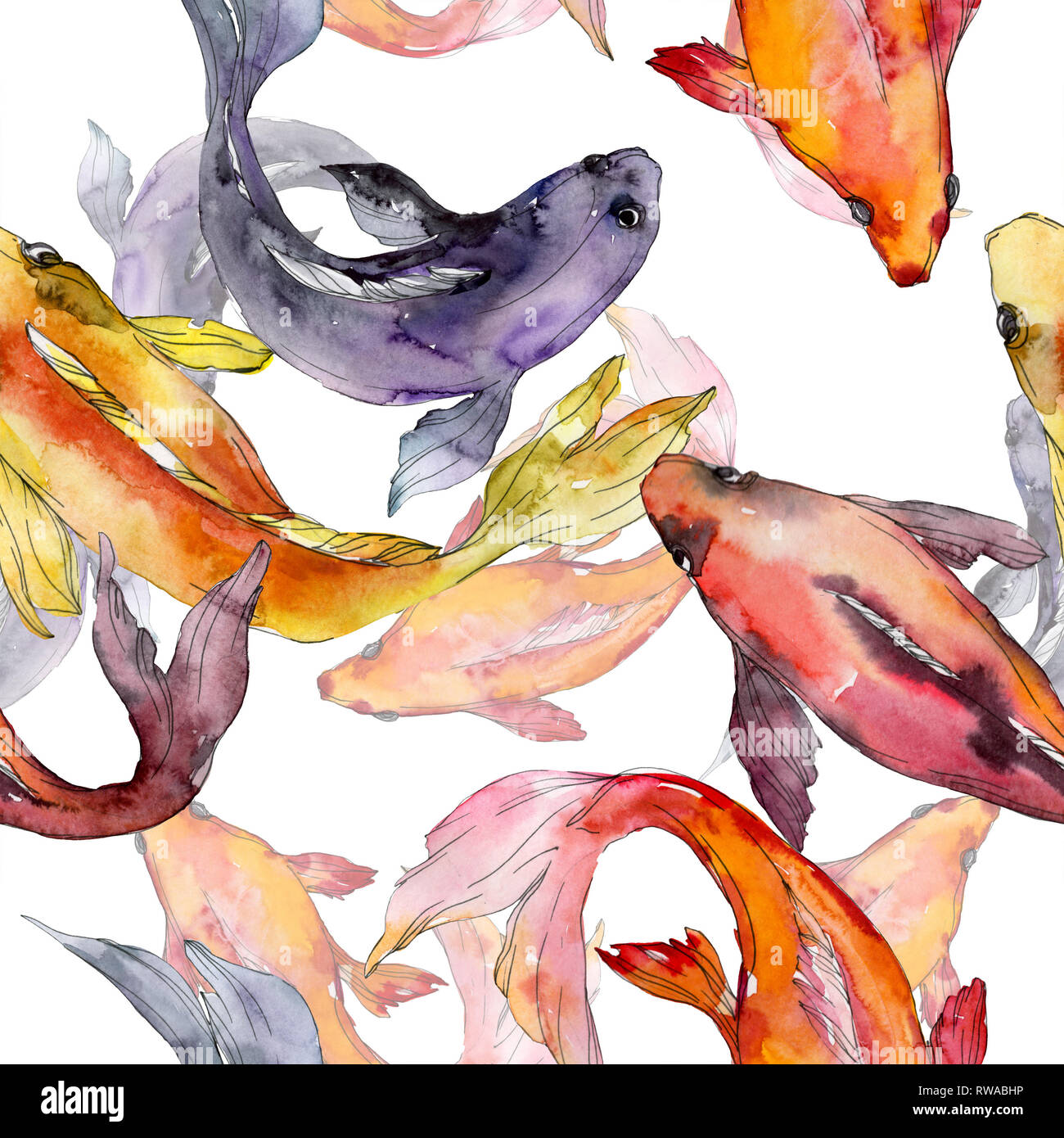 Aquatic fish set. Red sea and exotic fishes inside: Goldfish ...