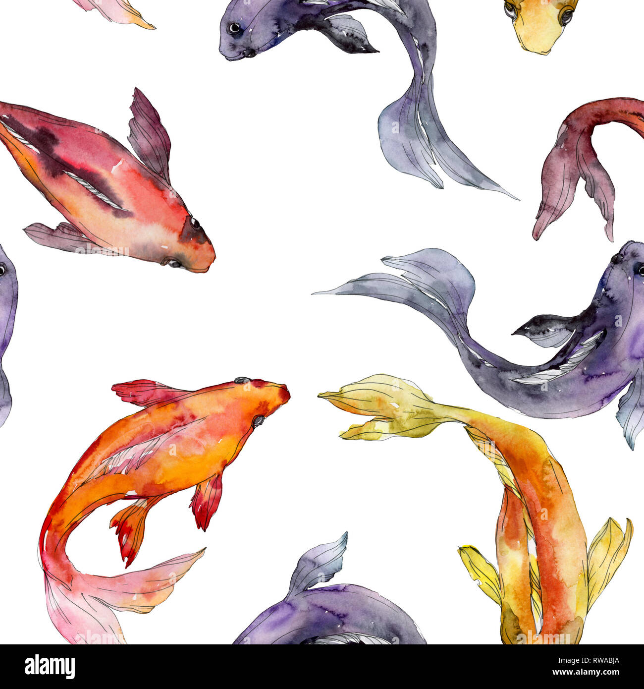 Aquatic fish set. Red sea and exotic fishes inside: Goldfish ...