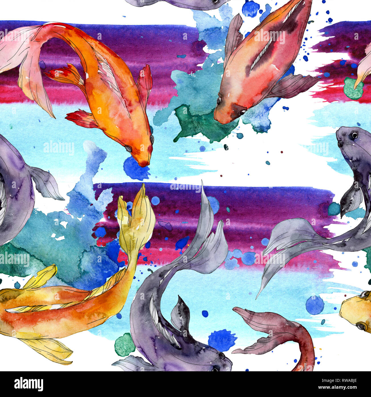 Aquatic fish set. Red sea and exotic fishes inside: Goldfish ...