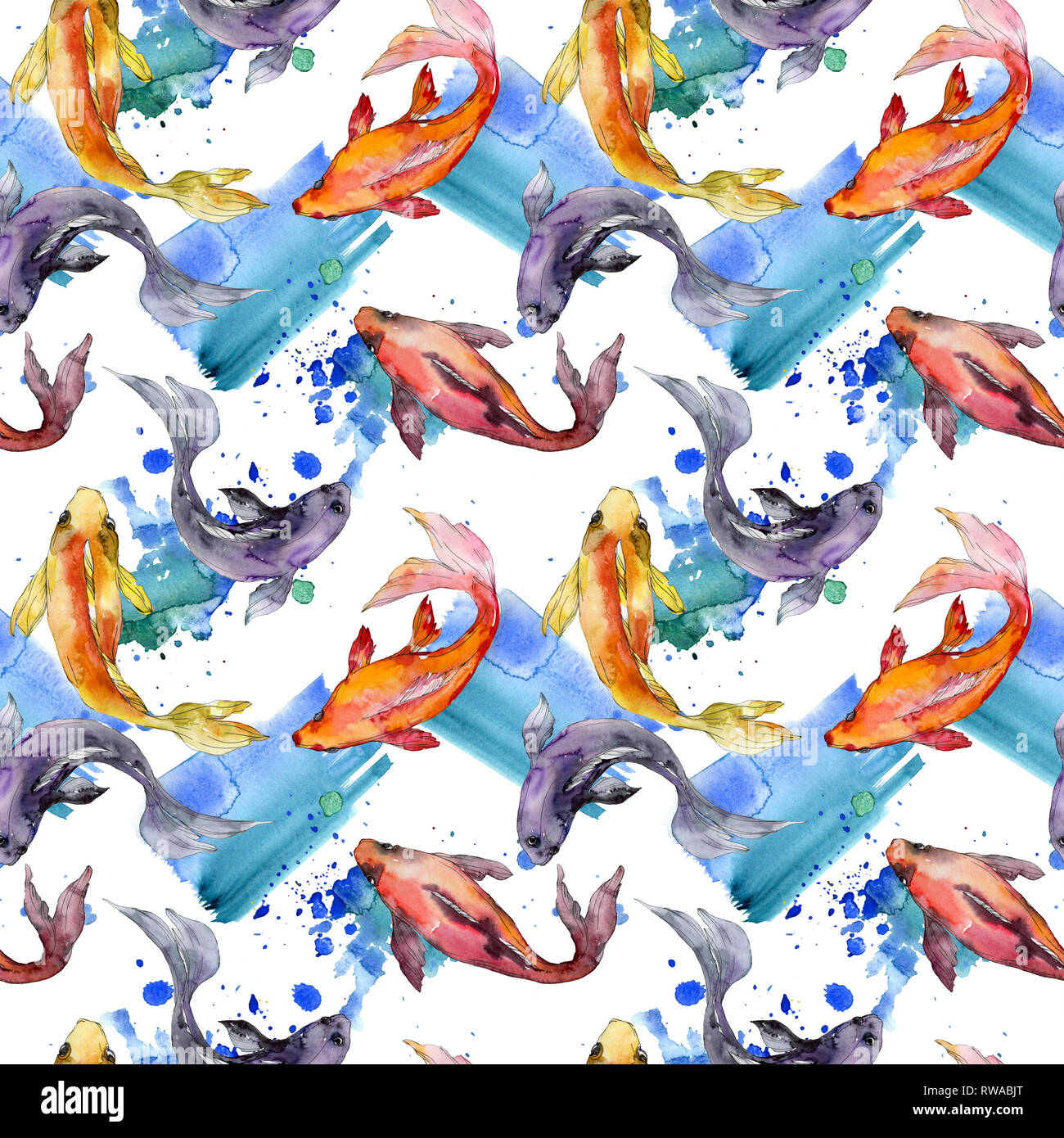 Aquatic fish set. Red sea and exotic fishes inside: Goldfish ...