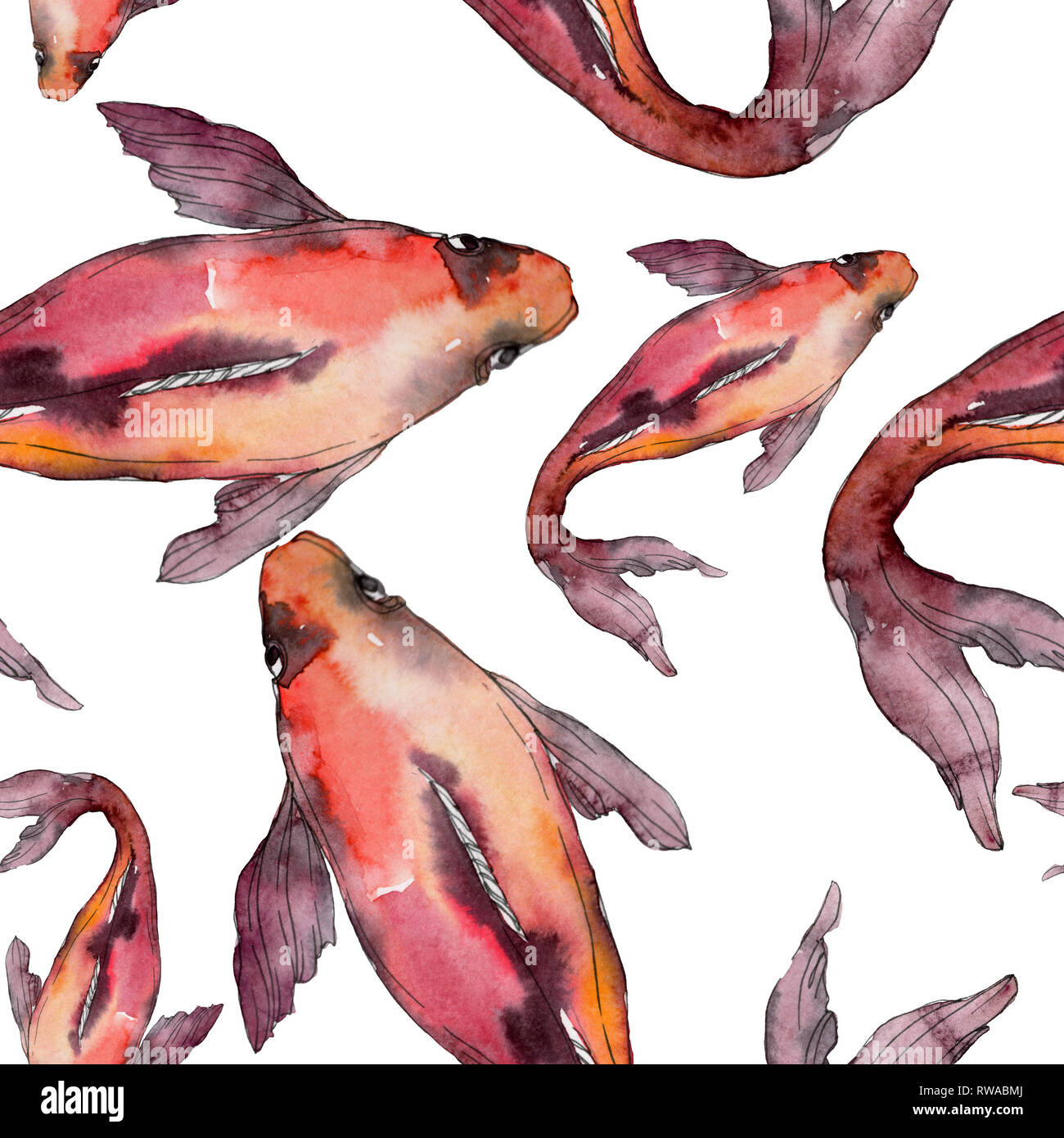 Aquatic fish set. Red sea and exotic fishes inside: Goldfish ...