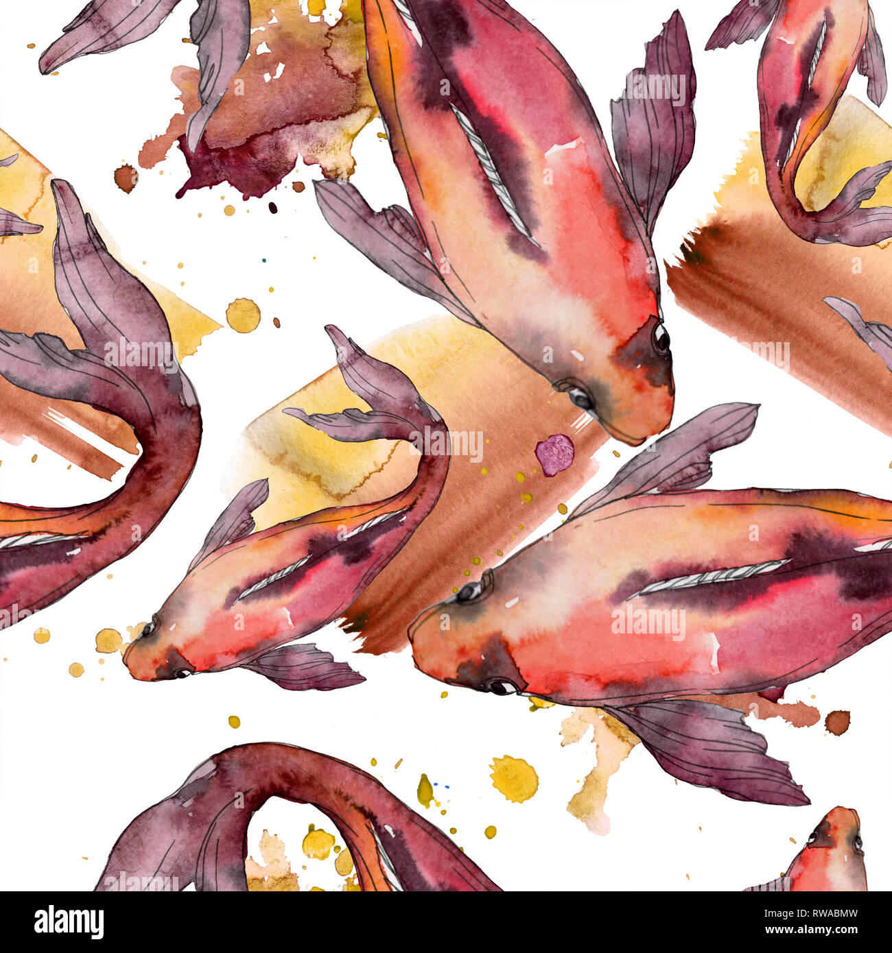 Aquatic fish set. Red sea and exotic fishes inside: Goldfish ...