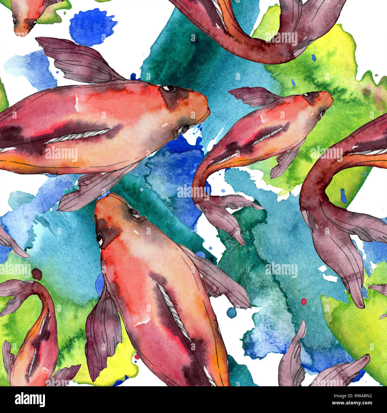 Aquatic fish set. Red sea and exotic fishes inside: Goldfish ...