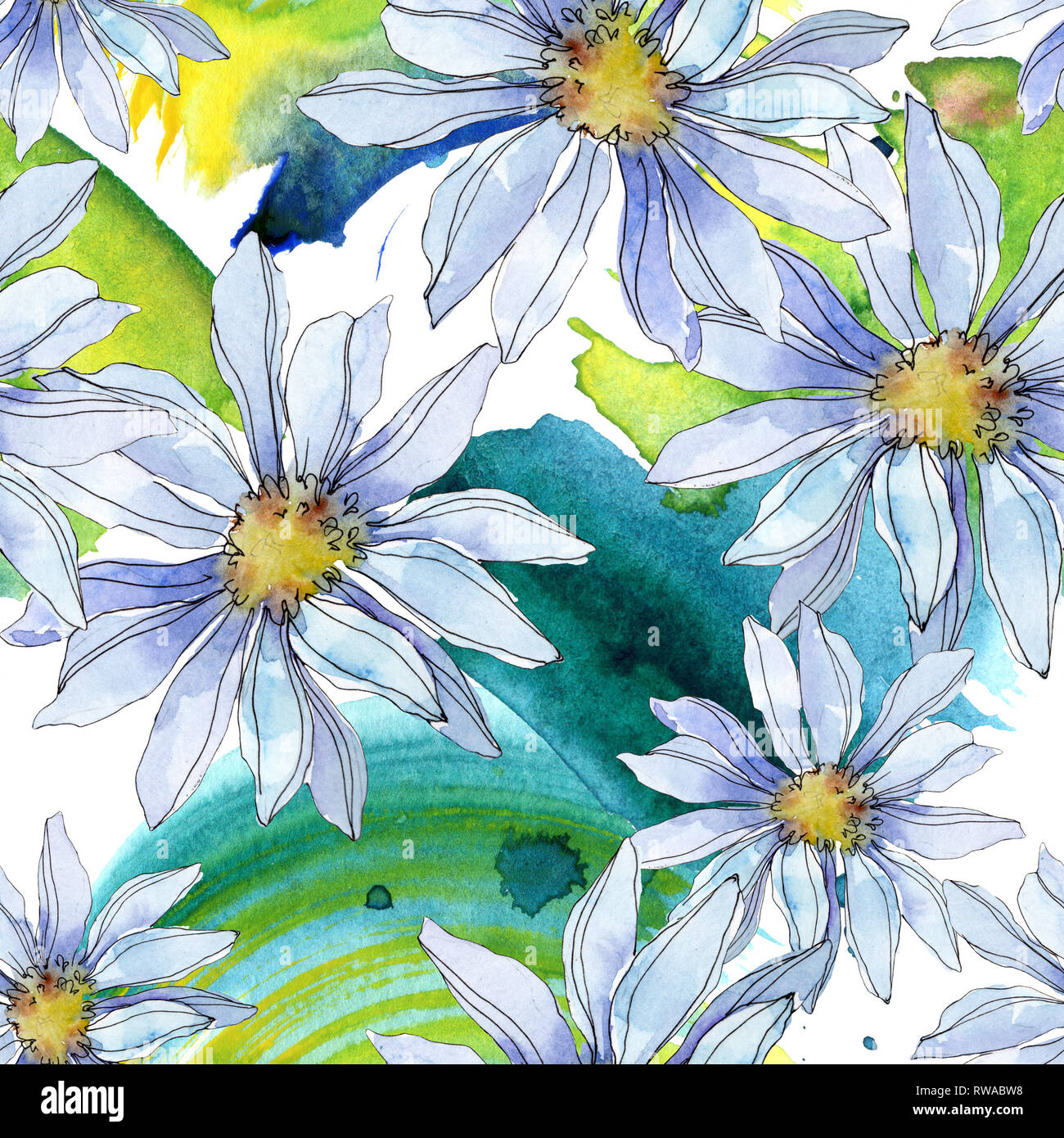 Daisy floral botanical flower. Wild spring leaf wildflower isolated ...