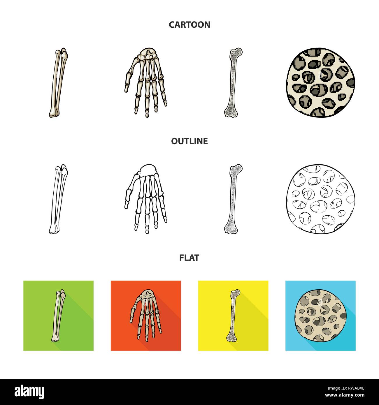 femur,wrist,fiber,hand,bony,healthy,leg,calcium,scientific,knee ...