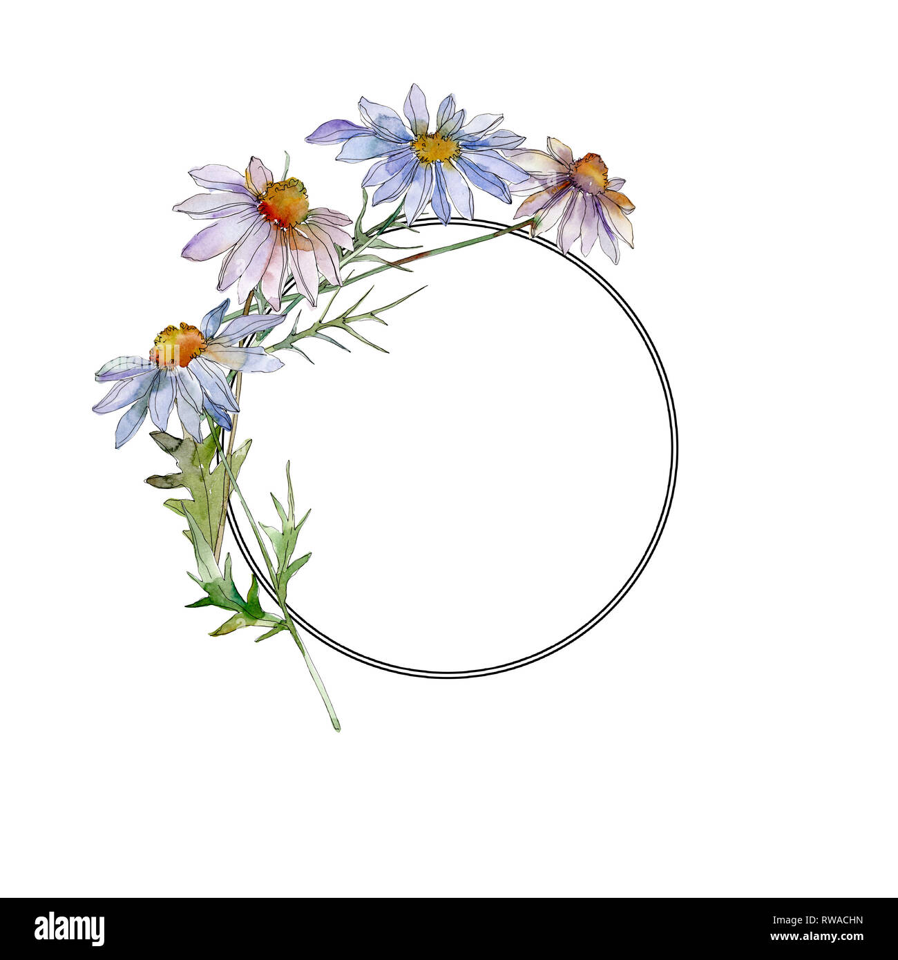 Daisy corner Cut Out Stock Images & Pictures - Alamy