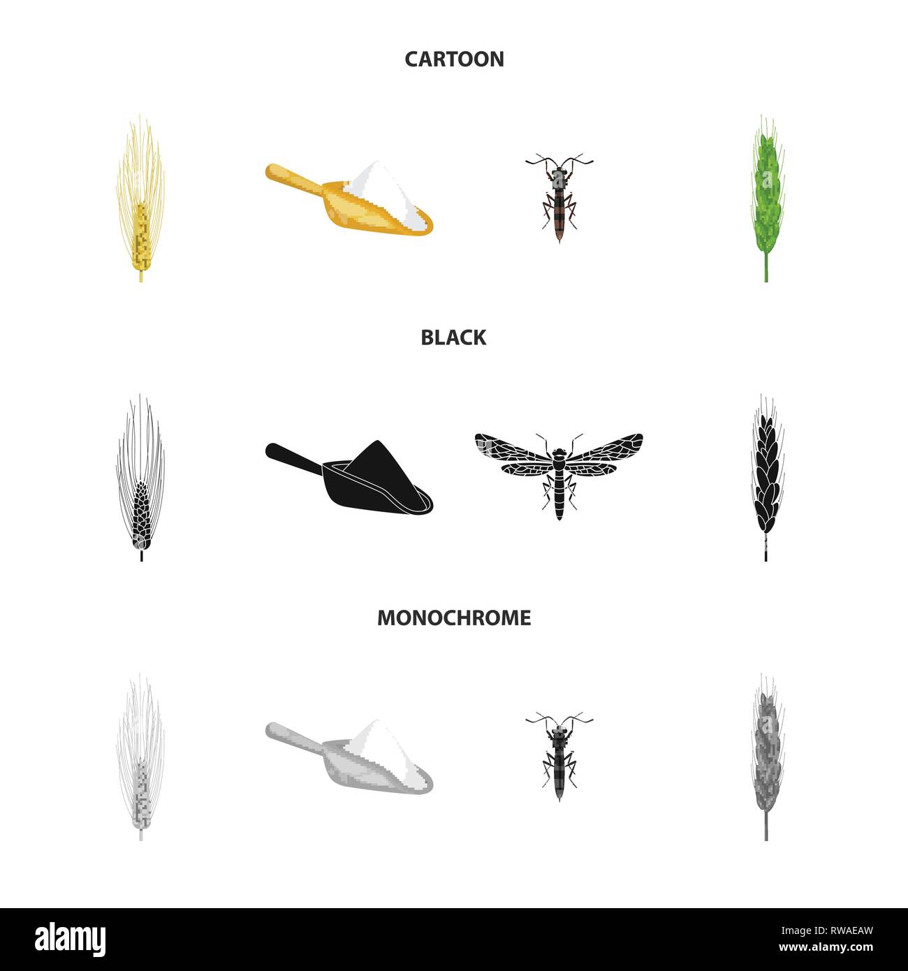 barley,flour,fly,spring,meal,insect,spike,winter,scoop,pest,durum ...