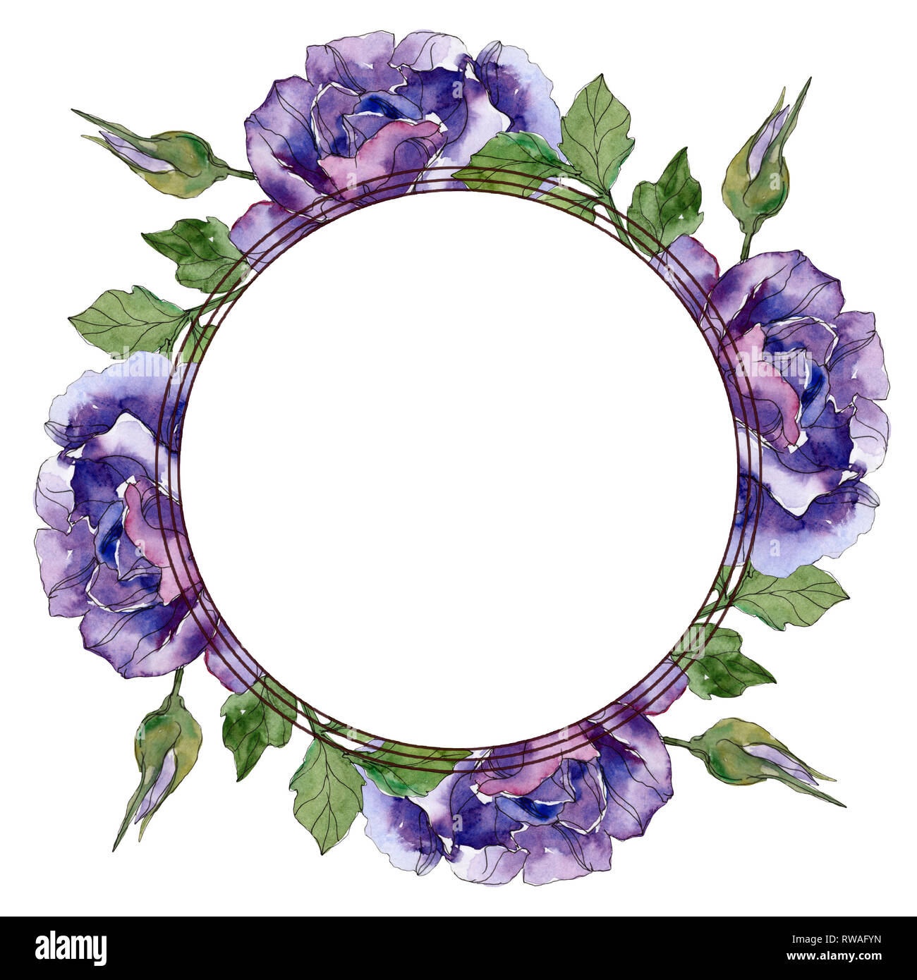 Wild violet border Cut Out Stock Images & Pictures - Alamy