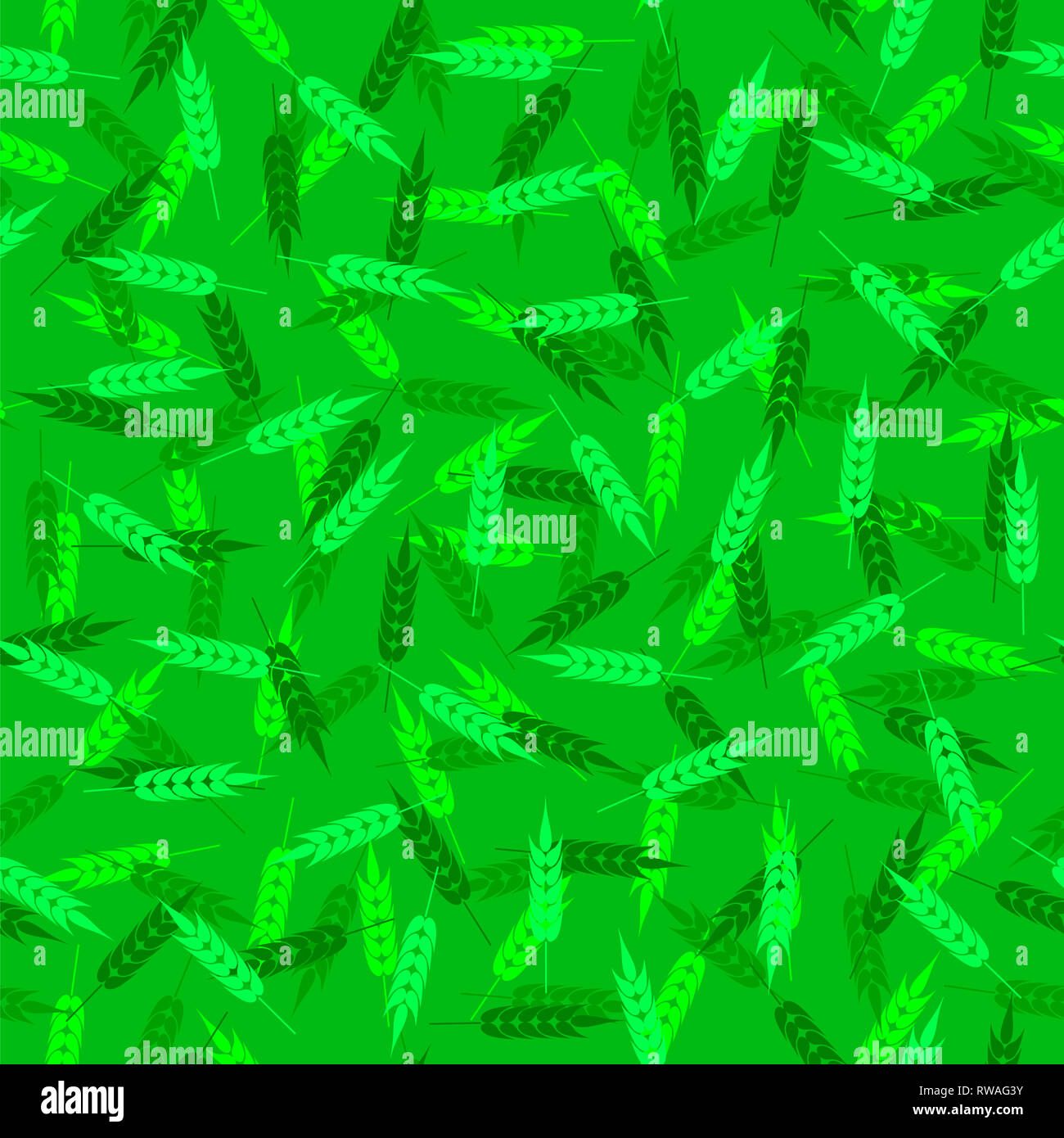 Green Wheat Seamless Pattern. Natural Cereal Spikes Stock Photo - Alamy