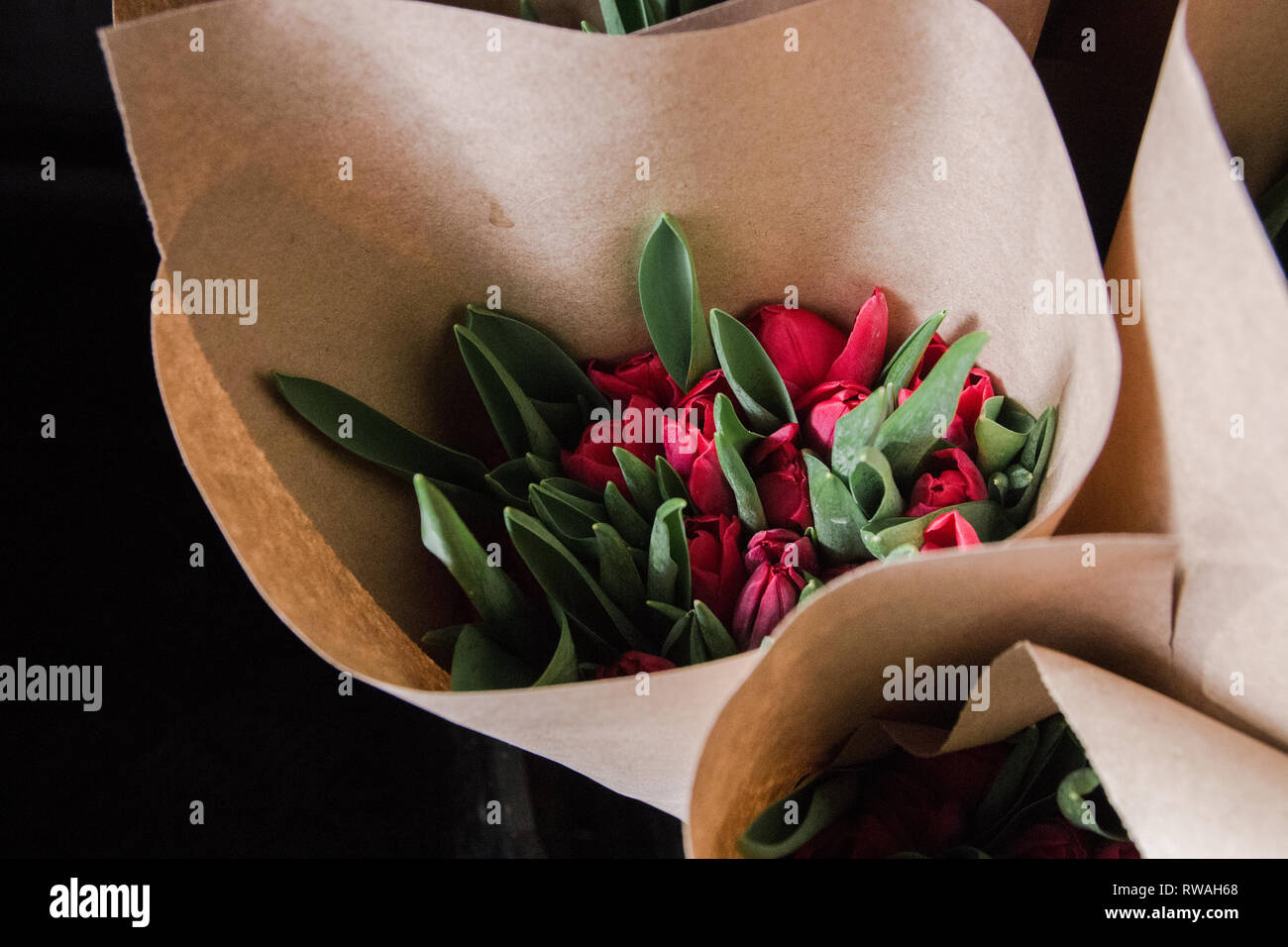 Beautiful red bouquet of tulips in Kraft paper, spring flowers grown in ...