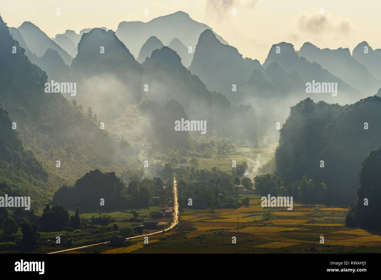 Beautiful step of rice terrace paddle field in sunset and dawn at Trung ...
