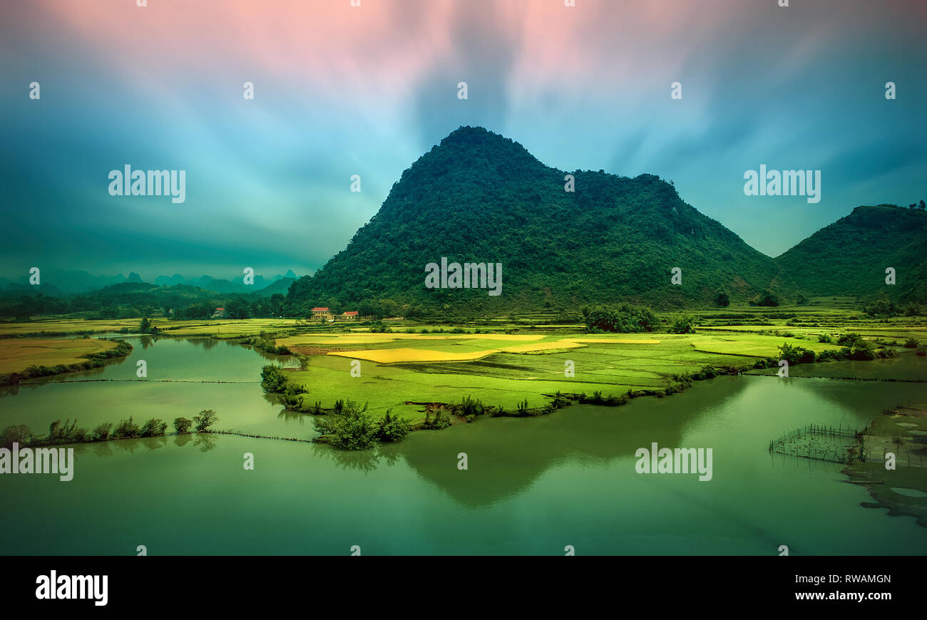 Beautiful step of rice terrace paddle field in sunset and dawn at Trung ...