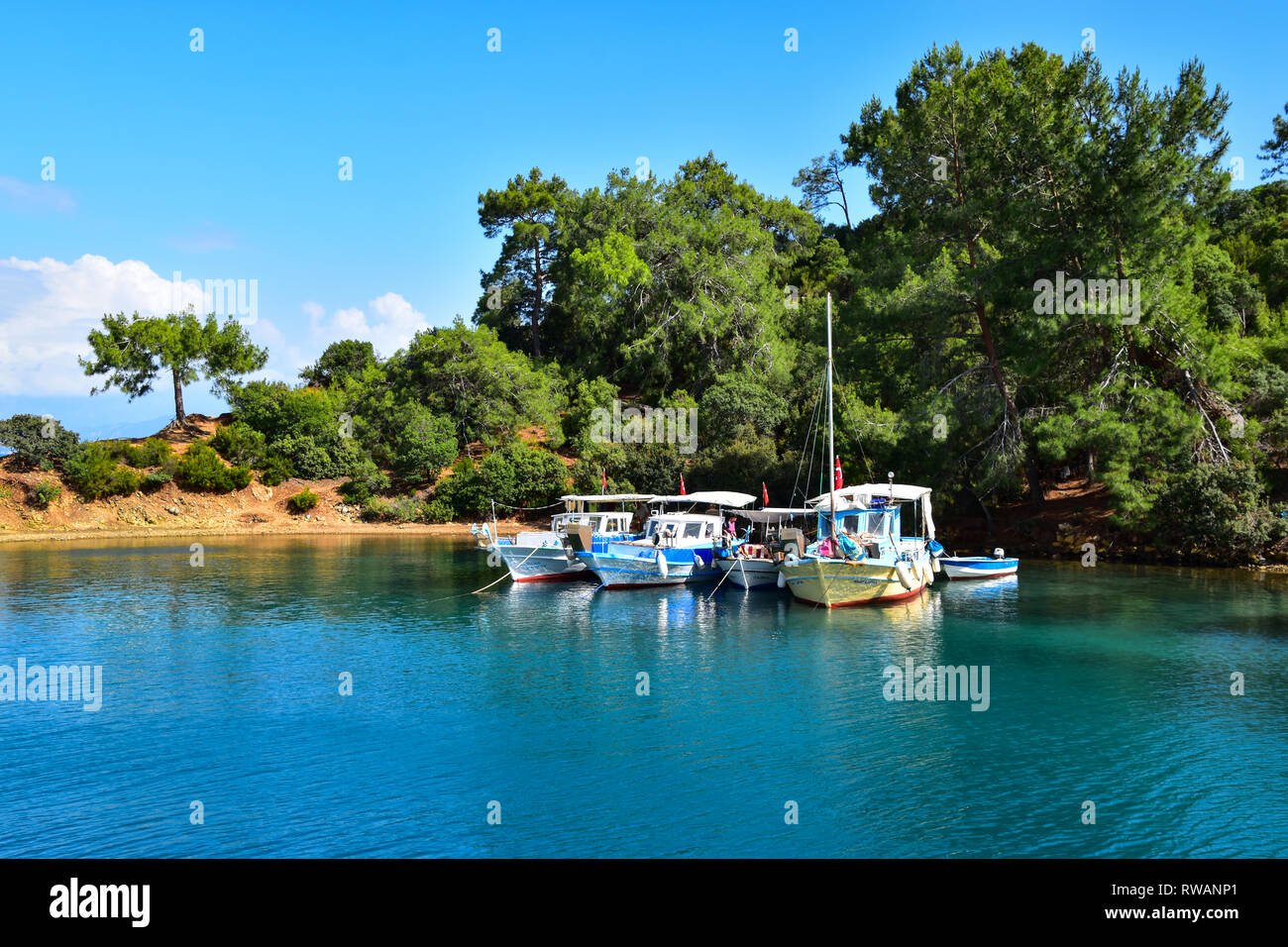 Turkish fishing boats in beautiful bay surrounded by Mediterranean pine ...