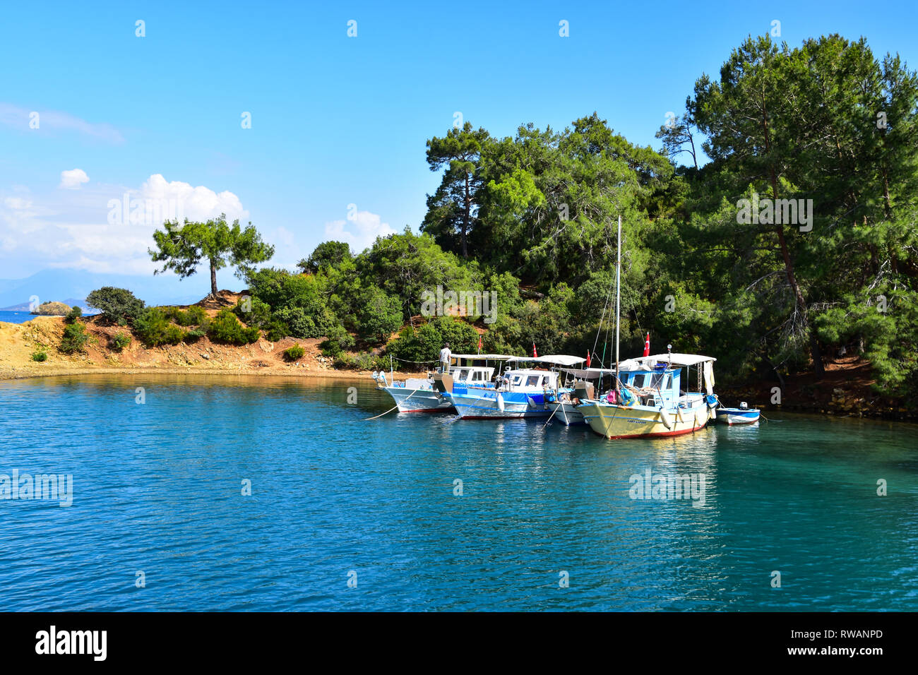 Turkish fishing boats in beautiful bay surrounded by Mediterranean pine ...