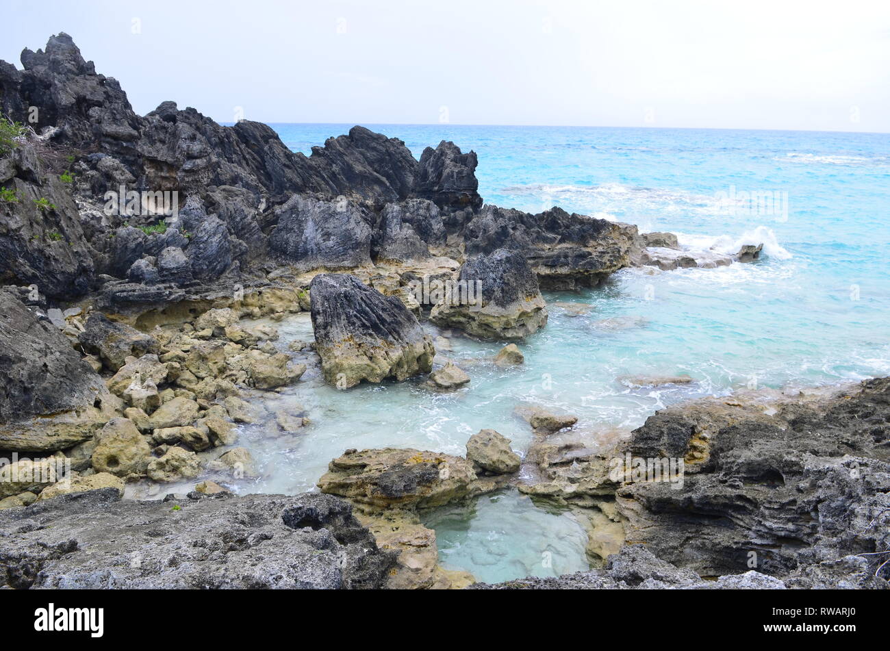George hamilton palm beach hi-res stock photography and images - Alamy