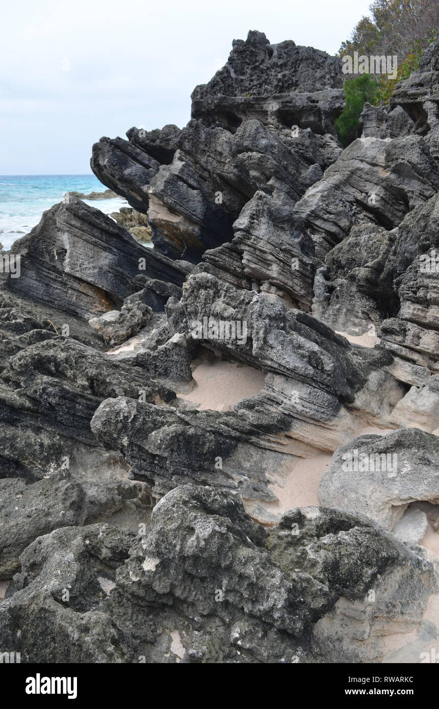 George hamilton palm beach hi-res stock photography and images - Alamy