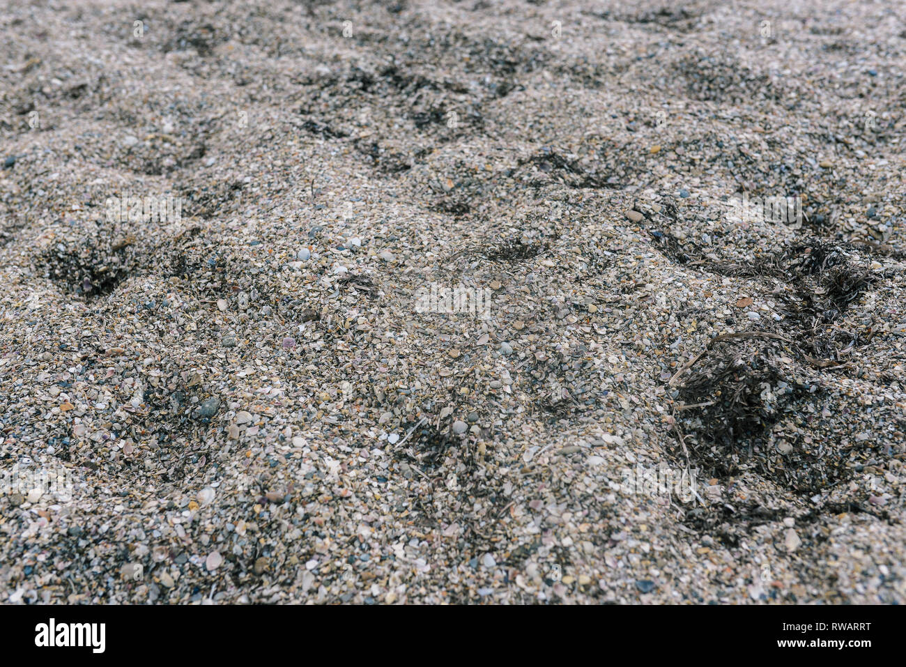 Sandy pebbles on the beach. The texture of sand and pebbles on the ...