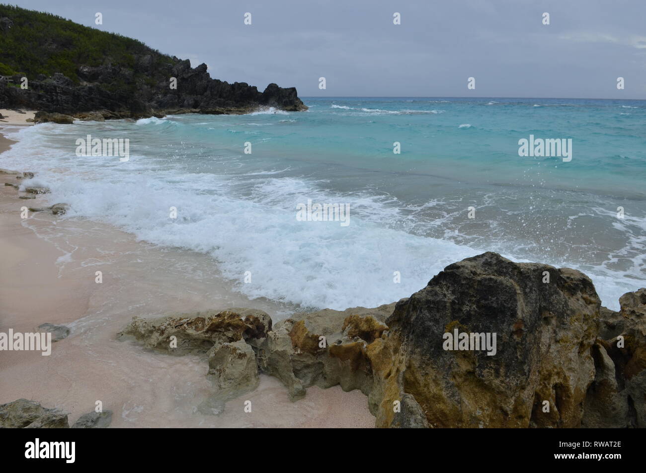 George hamilton palm beach hi-res stock photography and images - Alamy