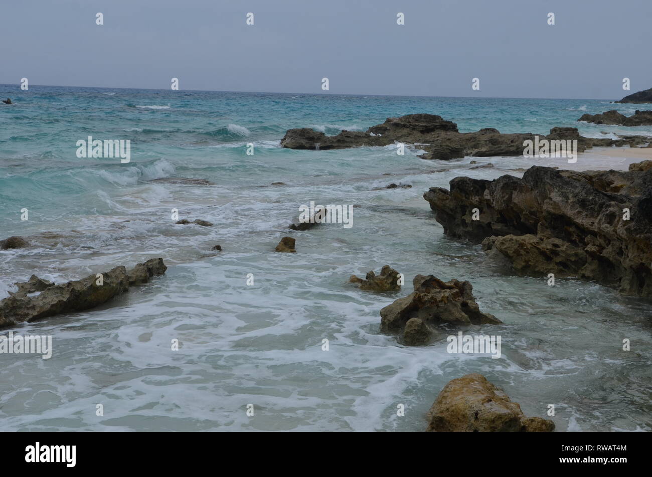 George hamilton palm beach hi-res stock photography and images - Alamy