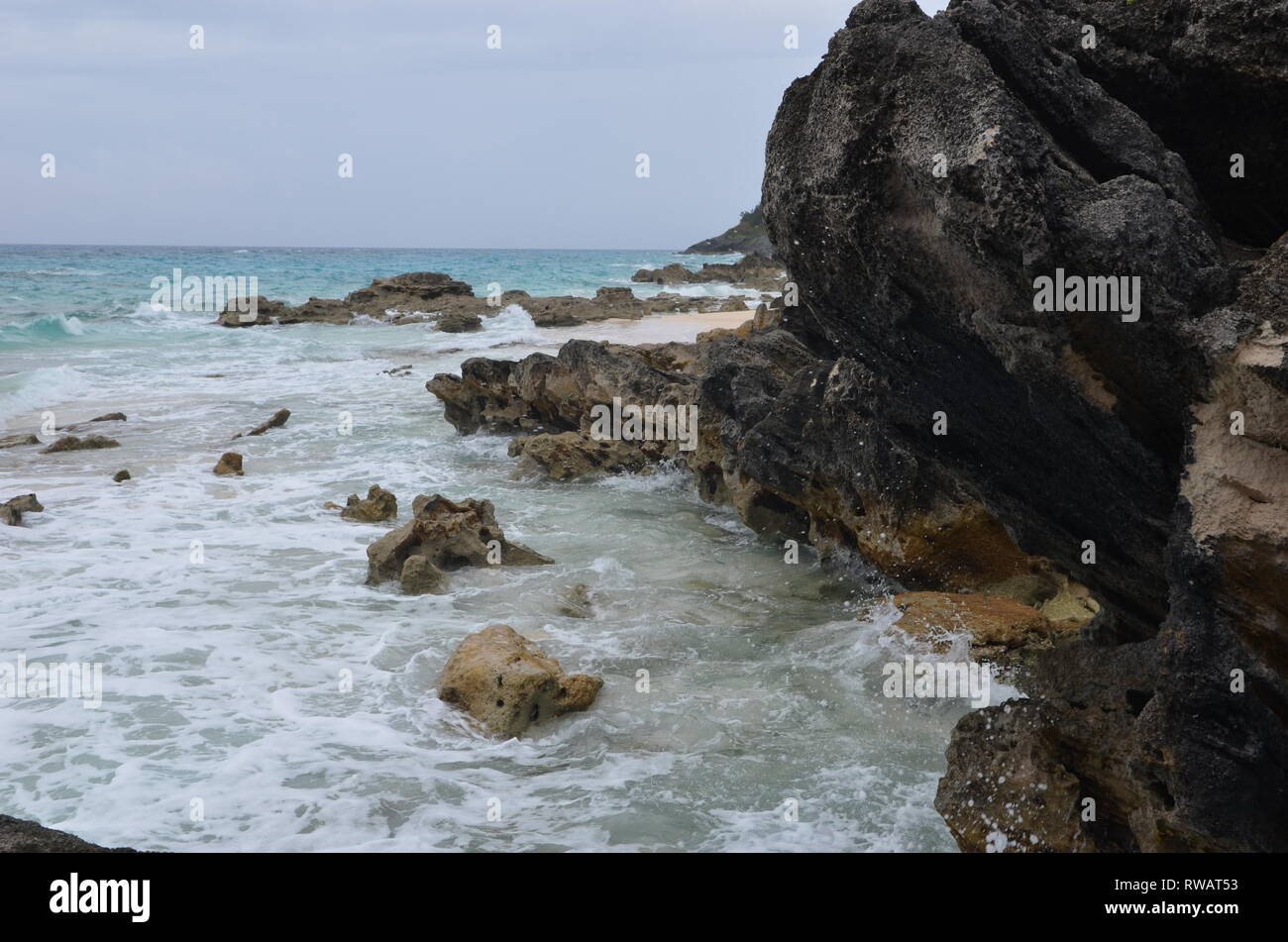 George hamilton palm beach hi-res stock photography and images - Alamy