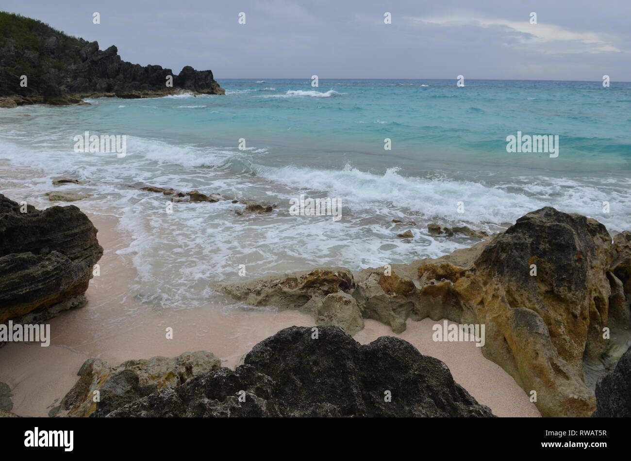 George hamilton palm beach hi-res stock photography and images - Alamy