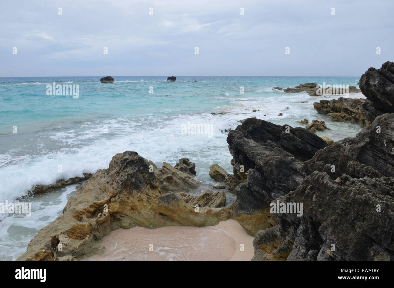 George hamilton palm beach hi-res stock photography and images - Alamy