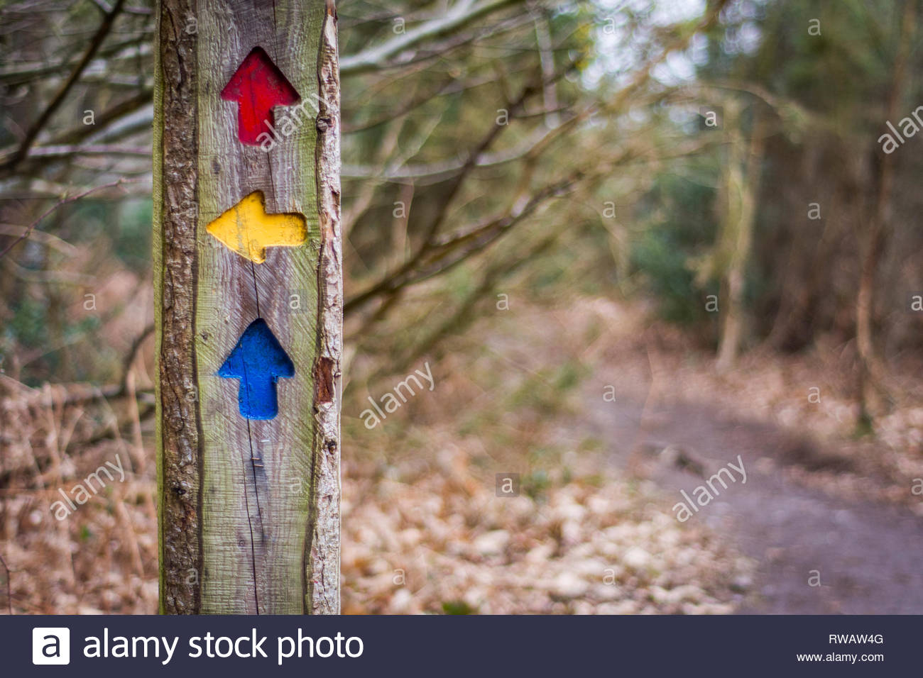 Sign Post Arrows High Resolution Stock Photography and Images - Alamy