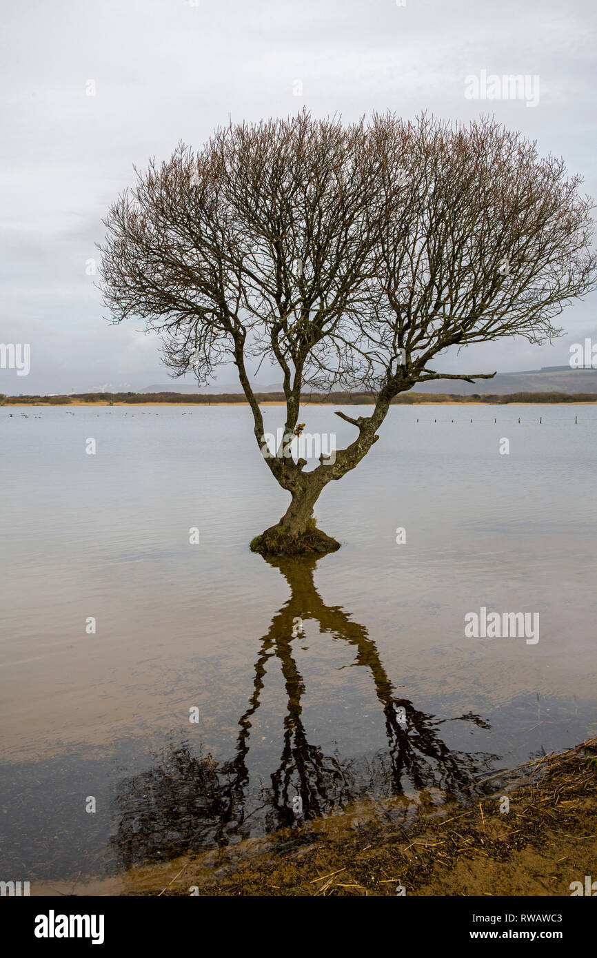 Kenfig pool hi-res stock photography and images - Alamy