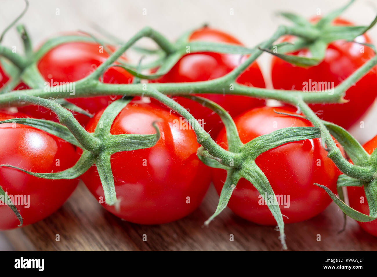 Vine of fresh ripe red cherry prunella tomates close up Stock Photo - Alamy