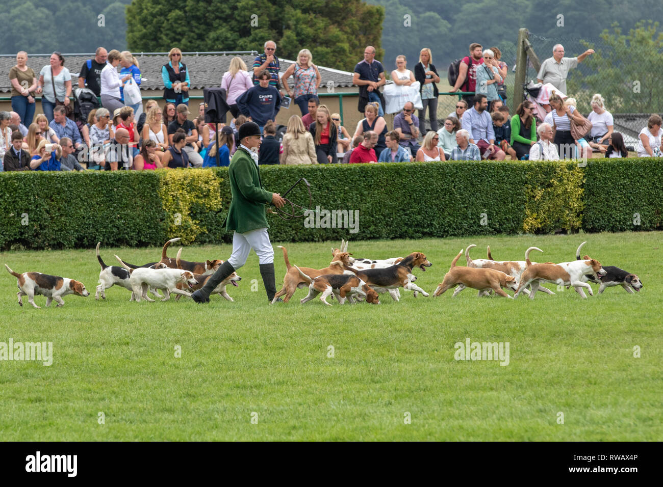 Harrogate, North Yorkshire, UK - July 12th, 2018: Hunt leaders led ...
