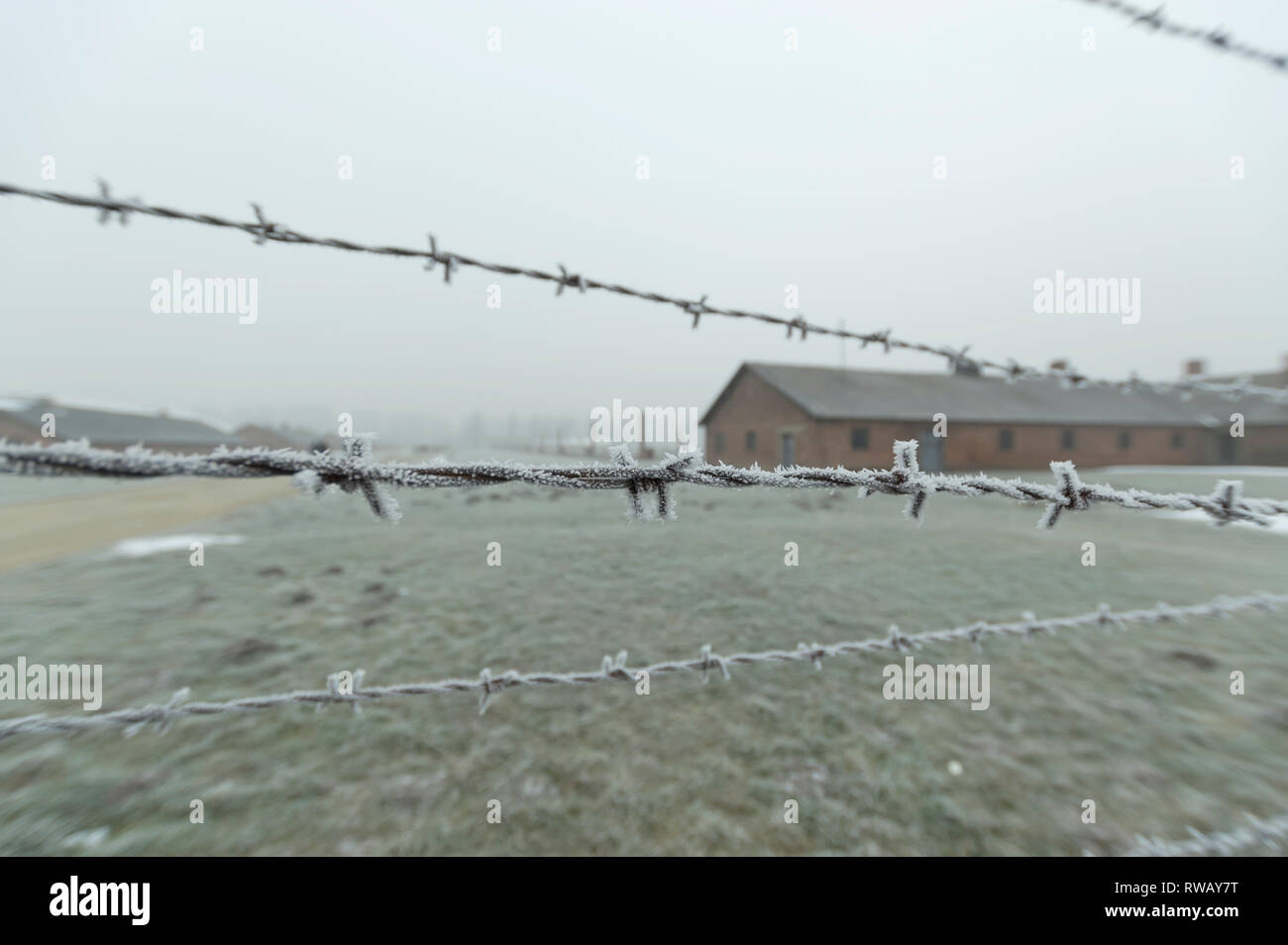 frozen barbed wire in a Concentration and Extermination Camp Stock ...