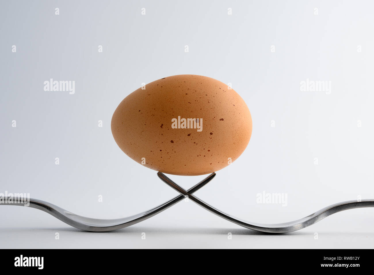 Egg in balance on two forks on white background Stock Photo - Alamy