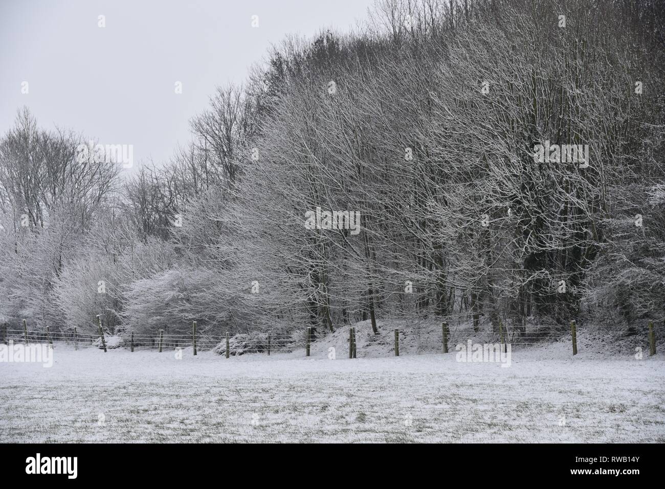 Winter: bleak rural northern French countryside following light ...