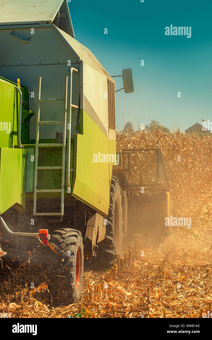 Combine harvester corn hi-res stock photography and images - Alamy