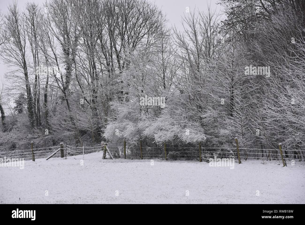 Barbed wire snow dark hi-res stock photography and images - Alamy