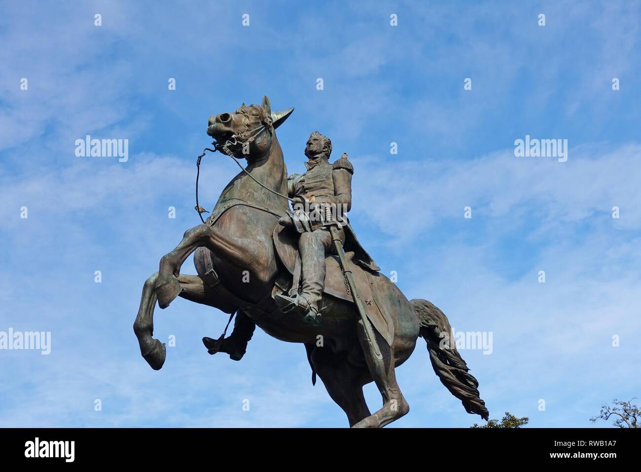 View of a bronze statue of Major General Andrew Jackson on a horse ...