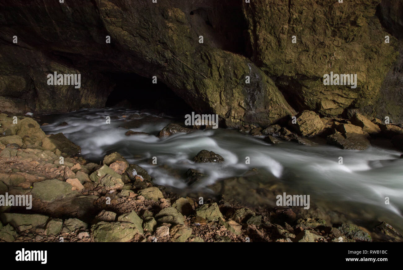 River Rak flowing underground in park Rakov Škocjan Stock Photo - Alamy