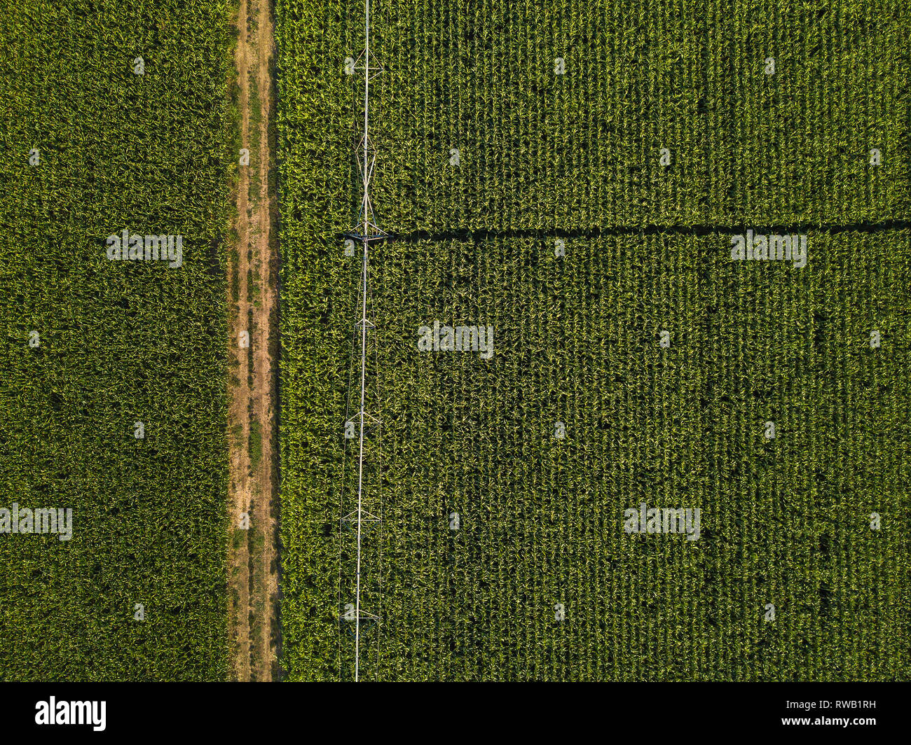 Drone photography, aerial view of water irrigation system in cultivated ...