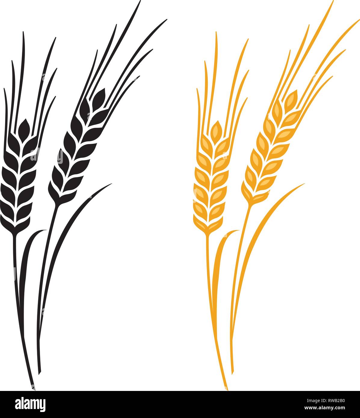 Ears of Wheat, Barley or Rye vector Stock Vector Image & Art - Alamy
