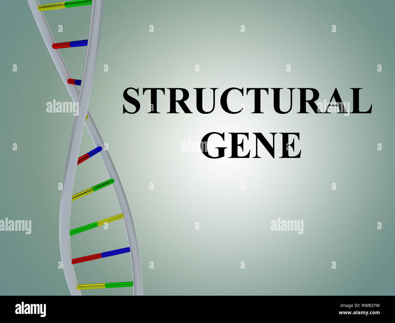 3D illustration of STRUCTURAL GENE script with DNA double helix ...