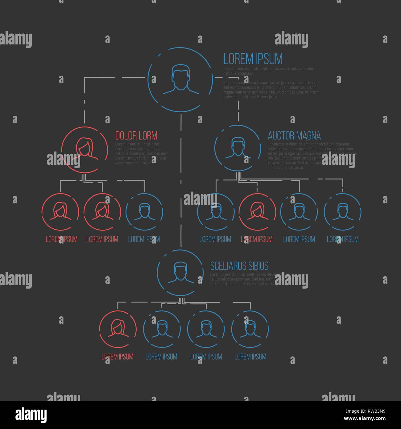 Company management hierarchy schema template with thin line profile ...