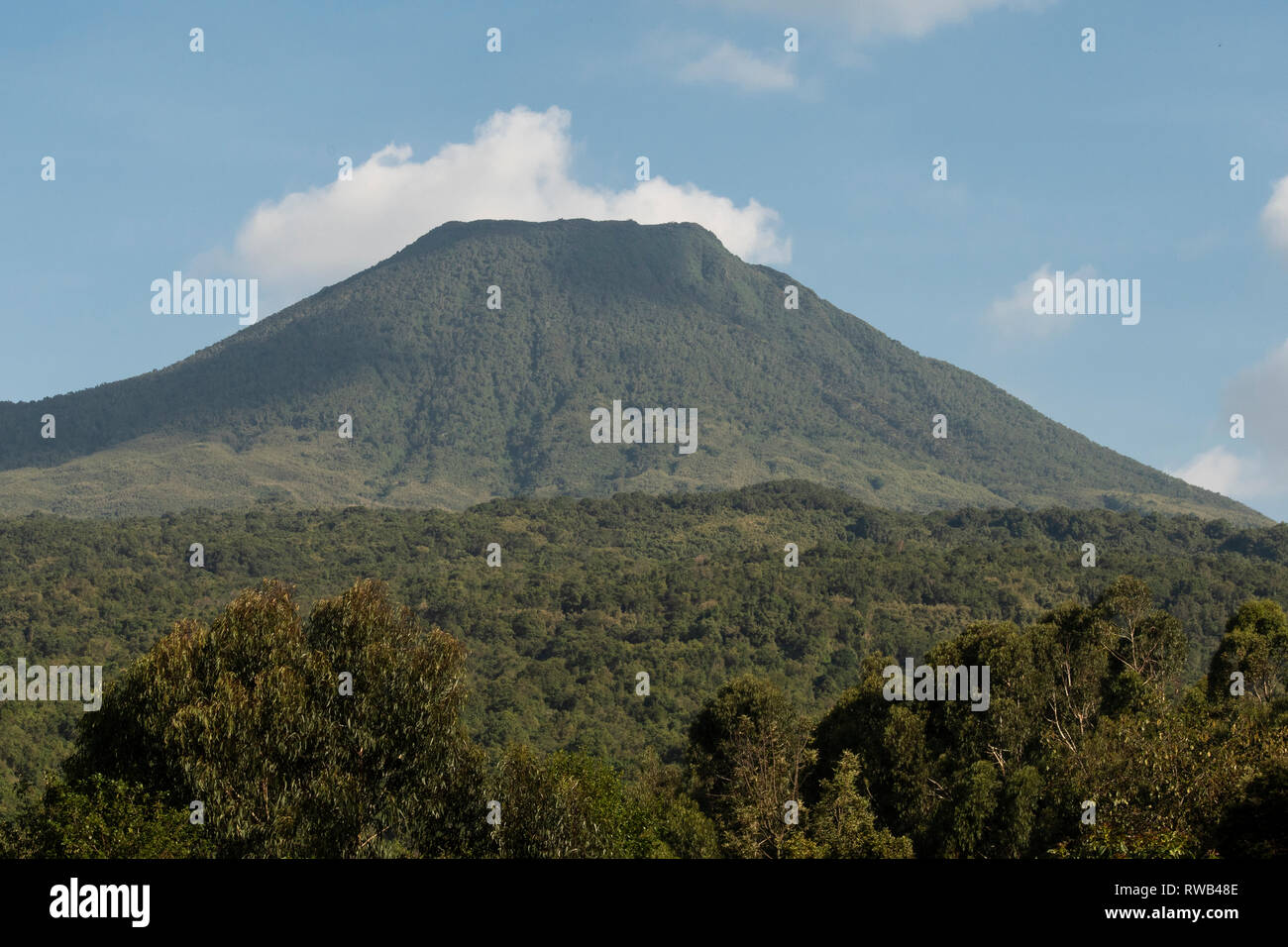 Mt. Gahinga (3,474 meters), volcano in Mgahinga Gorilla National Park ...