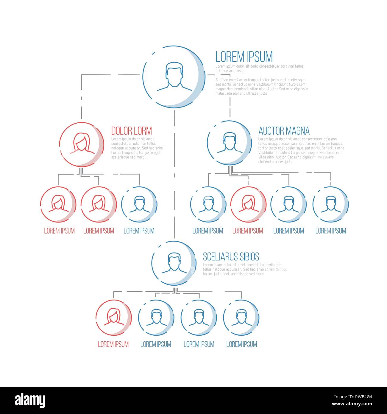Company management hierarchy schema template with thin line profile ...