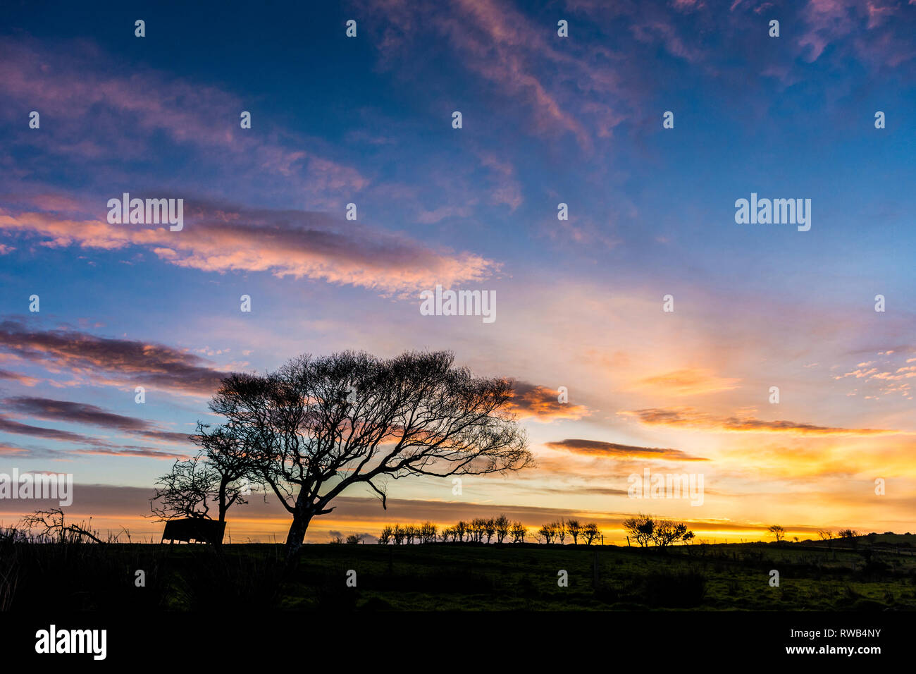 Sunrise over fields, Ardara, County Donegal, Ireland Stock Photo - Alamy