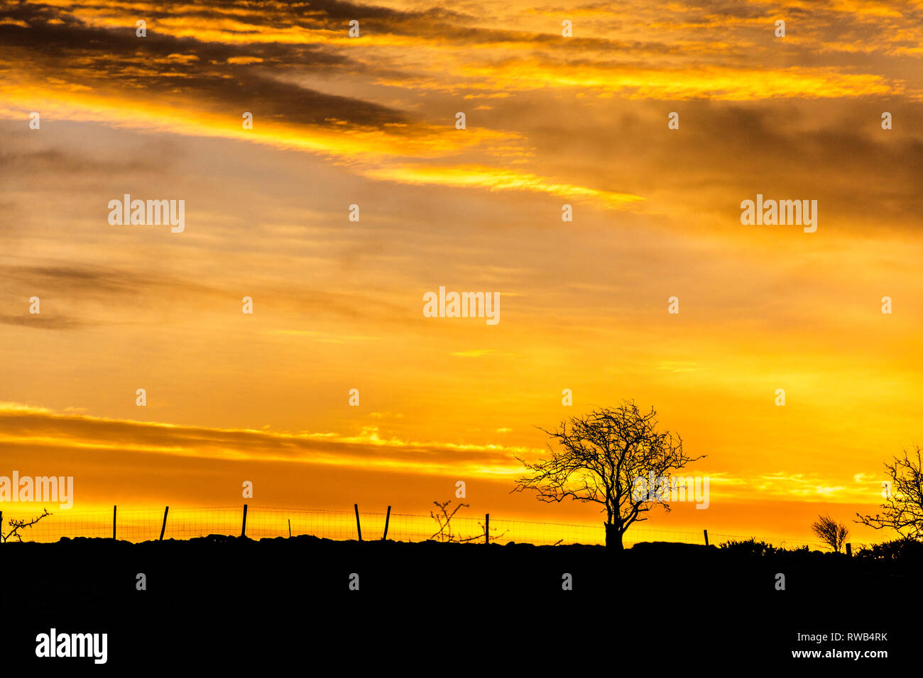 Sunrise over fields, Ardara, County Donegal, Ireland Stock Photo - Alamy