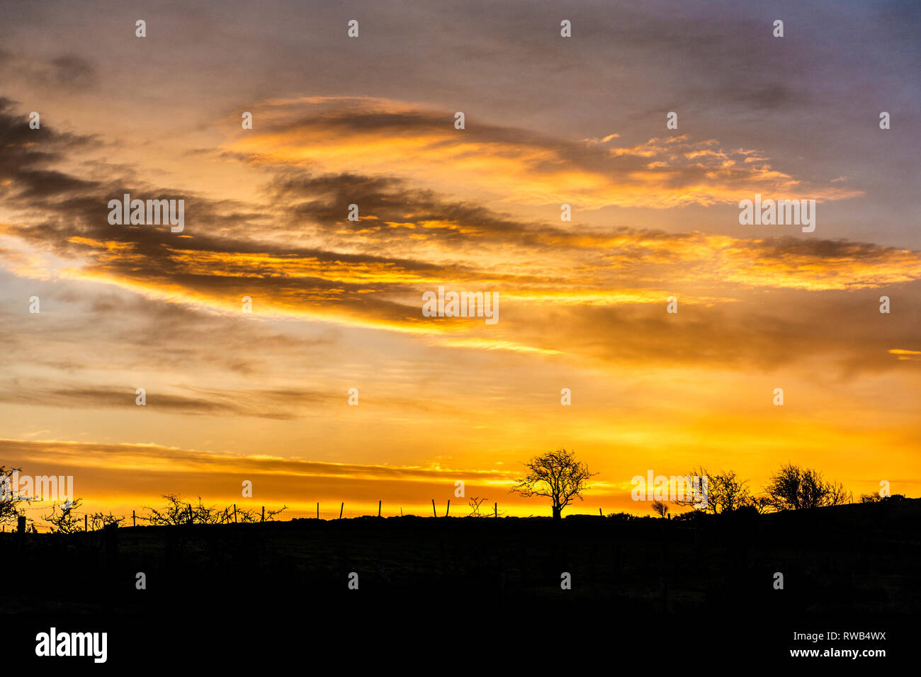 Sunrise over fields, Ardara, County Donegal, Ireland Stock Photo - Alamy