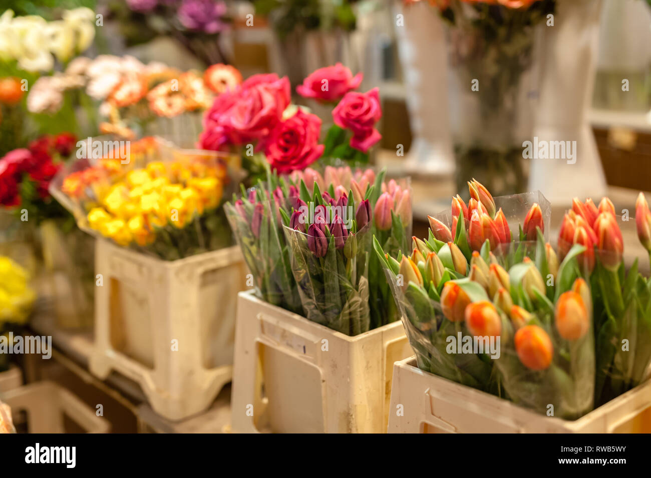 Street flower shop with colourful flowers Stock Photo - Alamy